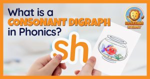 What Are Consonant Digraphs? Definition & Examples