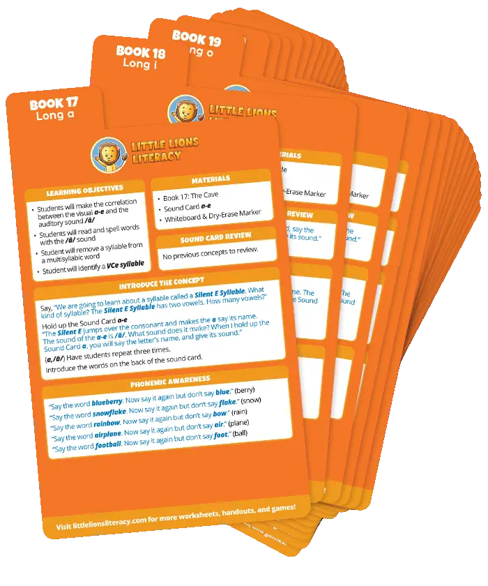 Decodable Readers - Classroom Set 2 - Little Lions Literacy